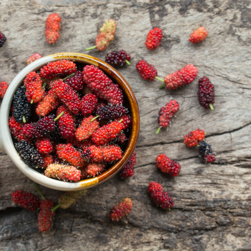 What Does Mulberry Taste Like? - The Rusty Spoon