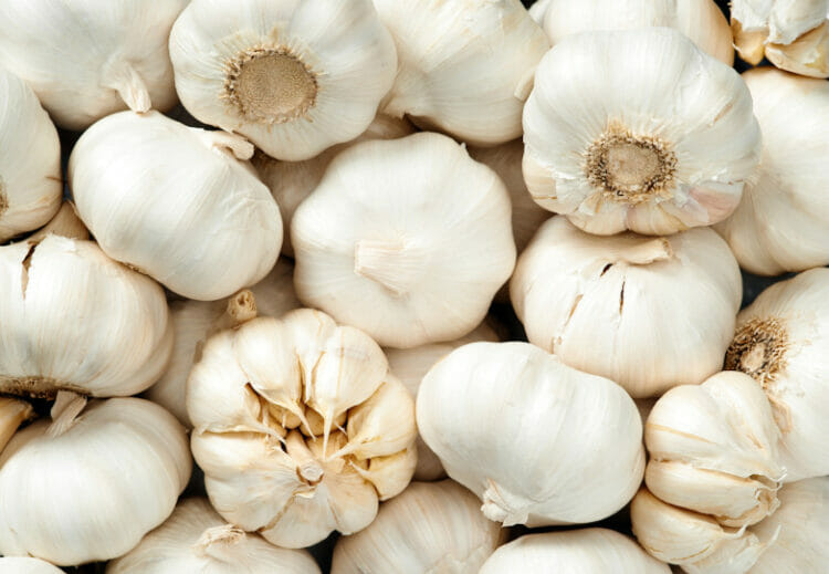 How To Tell If Garlic Is Bad 5 Easy Ways? - The Rusty Spoon