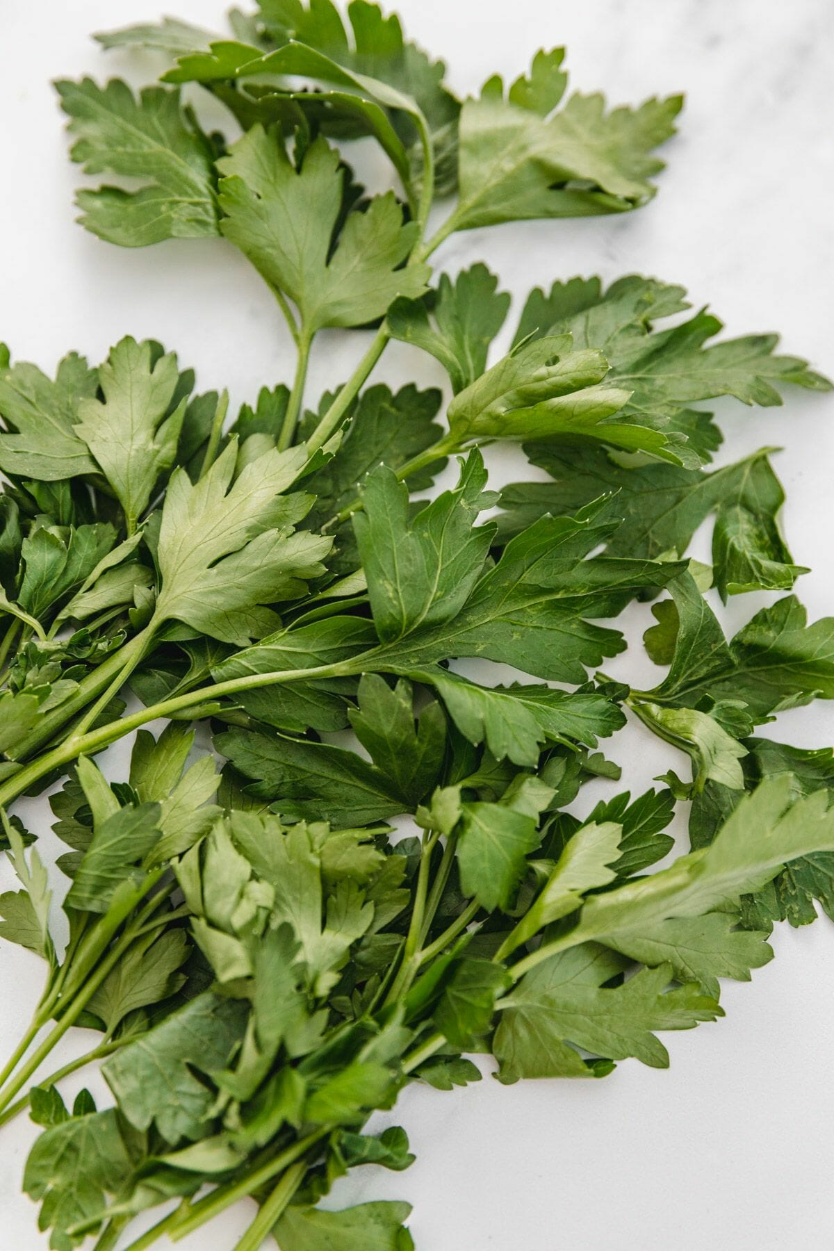 5 Foolproof And Easy Ways Of Drying Parsley To Keep It To Use All Year ...