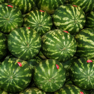 How To Tell If Watermelon Is Bad? Here Are 5 Foolproof Ways! - The ...