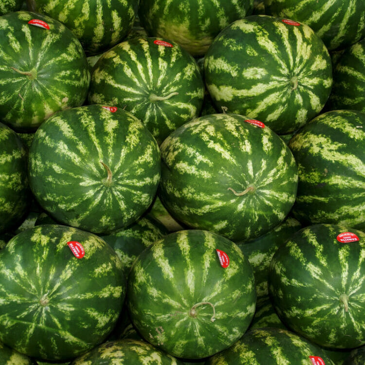 How To Tell If Watermelon Is Bad? Here Are 5 Foolproof Ways! - The ...