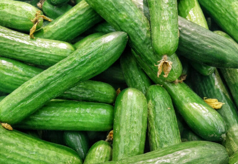 How To Tell If Your Cucumber Is Bad 5 Foolproof Ways? - The Rusty Spoon