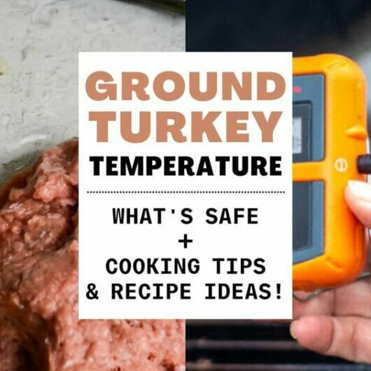 6 Foolproof Ways Of Knowing When Frozen Beef Is Bad? - The Rusty Spoon