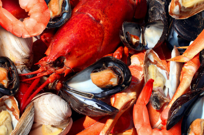 10 Types Of Shellfish: A Guide To Seafood Delicacies - The Rusty Spoon