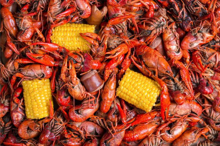 10 Types Of Shellfish: A Guide To Seafood Delicacies - The Rusty Spoon