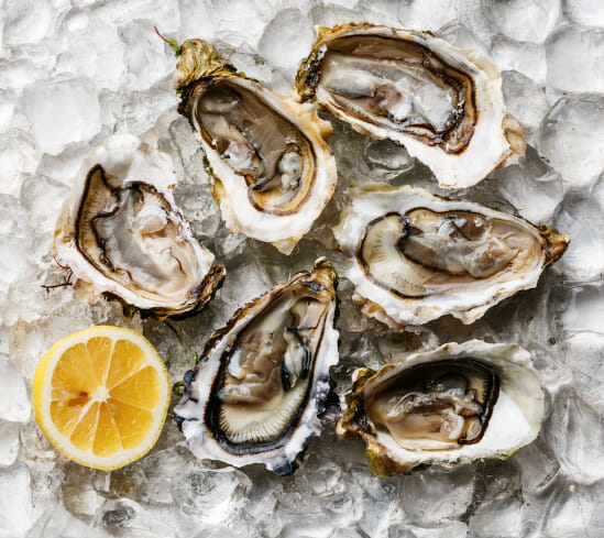 10 Types Of Shellfish: A Guide To Seafood Delicacies - The Rusty Spoon