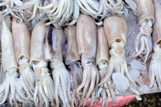 10 Types Of Shellfish: A Guide To Seafood Delicacies - The Rusty Spoon